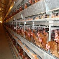 China Premium Chicken Coop with 20-Year Safety Warranty for Ultimate Protection for sale