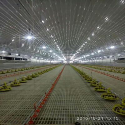 China Custom Modern Prefabricated Steel Structure Chicken House for Large Broiler Farming for sale
