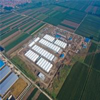 China Premium Steel Poultry House for Healthy Chicken Farming for sale
