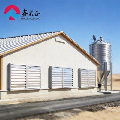 China Premium Durable Chicken Coop with Steel Roof and Walls for sale