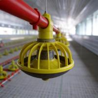China Premium Durable Poultry House with 20-Year Warranty and ISO Certification for sale