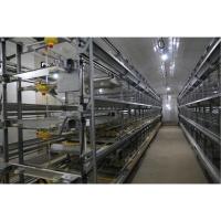 China Durable Floor Raising System Steel Structure Pultry House Chicken Coop Pultry for sale
