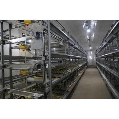 China Durable Floor Raising System Steel Structure Pultry House Chicken Coop Pultry for sale