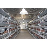 China Durable Floor Raising System Steel Structure Pultry House Chicken Coop Pultry for sale