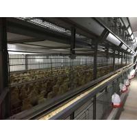 China Durable Floor Raising System Steel Structure Pultry House Chicken Coop Pultry for sale