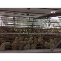 China Durable Floor Raising System Steel Structure Pultry House Chicken Coop Pultry for sale