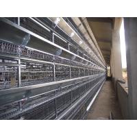 China Durable Floor Raising System Steel Structure Pultry House Chicken Coop Pultry for sale