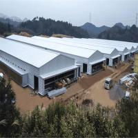 China Premium Weatherproof Automatic Steel Poultry House for Chickens for sale