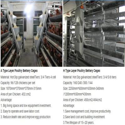 China Durable Automatic Steel Chicken Coop for Eco-Friendly Farming for sale