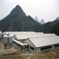China Steel Structure Poultry Shed with Automatic Machinery for sale