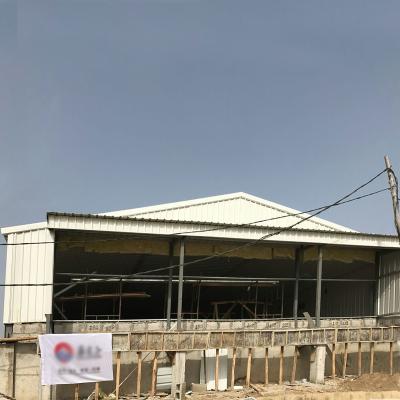 China Advanced Design Steel Structure Chicken House for Commercial Floor Raising Systems for sale