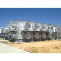 China Advanced Design Steel Structure Chicken House for Commercial Floor Raising Systems for sale