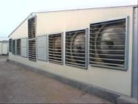 China Heavy Duty Steel Structure Chicken House Complete with Automatic Feeding Cages for sale