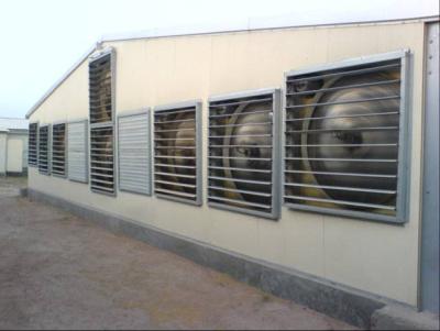 China Heavy Duty Steel Structure Chicken House Complete with Automatic Feeding Cages for sale