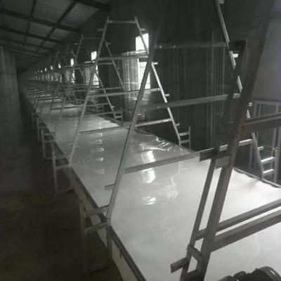 China Standard Light Steel Structure Chicken House Optimized for Broiler Floor Production for sale