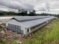 China Fully Controlled Environment Steel Structure Chicken House with Automated Cage Systems for sale