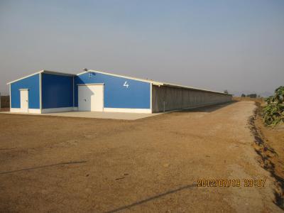China Automated Climate Control Steel Structure Chicken House for High Density Cages for sale