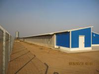 China Automated Climate Control Steel Structure Chicken House for High Density Cages for sale