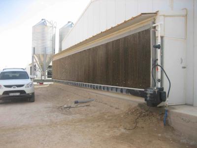 China Rigid Frame Steel Structure Chicken House with Automated Environmental Control Systems for sale