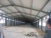 China Optimized Ventilation Steel Structure Chicken House Supporting Multi Tier Cage Equipment for sale
