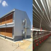 China Sustainable Prefab Steel Structure Chicken House with Smart Air Flow Control for sale