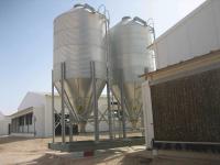 China High Wind Resistant Steel Structure Chicken House for Automated Poultry Cages for sale