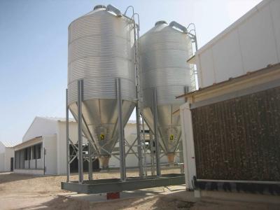 China High Wind Resistant Steel Structure Chicken House for Automated Poultry Cages for sale