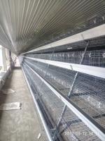 China Custom Roof Design Steel Structure Chicken House for Natural Ventilation Farming for sale
