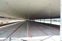 China Turnkey Project Steel Structure Chicken House with Advanced Floor Raising Equipment for sale
