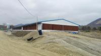 China Turnkey Project Steel Structure Chicken House with Advanced Floor Raising Equipment for sale