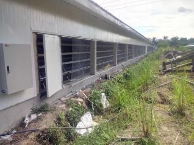 China Smart Ventilation Steel Structure Chicken House Designed for Commercial Battery Cages for sale