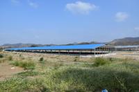 China Smart Ventilation Steel Structure Chicken House Designed for Commercial Battery Cages for sale