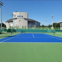 China Large Span Steel Padel Tennis Court Hall Designed for Professional Recreational Play for sale