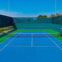 China Large Span Steel Padel Tennis Court Hall Designed for Professional Recreational Play for sale