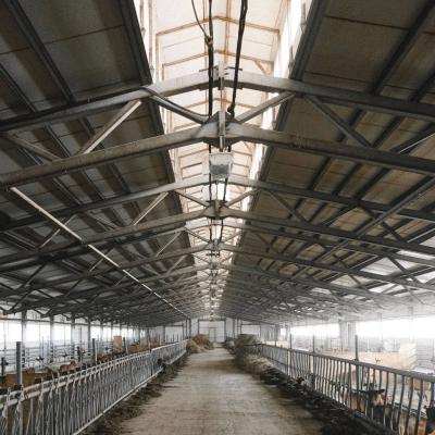 China Clear Span Steel Basketball Facility Offering Excellent Visibility and Functionality for sale