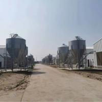 China Premium Steel Poultry Sheds for Sustainable Chicken Farming Solutions for sale