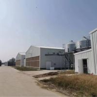 China Premium Steel Poultry Sheds for Sustainable Chicken Farming Solutions for sale