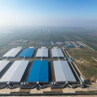 China Top-Quality Prefab Chicken House Steel Structure Prefabricated Steel Structure for sale
