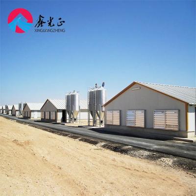 China Customizable Prefabricated Steel Chicken House for Efficient Poultry Farming for sale