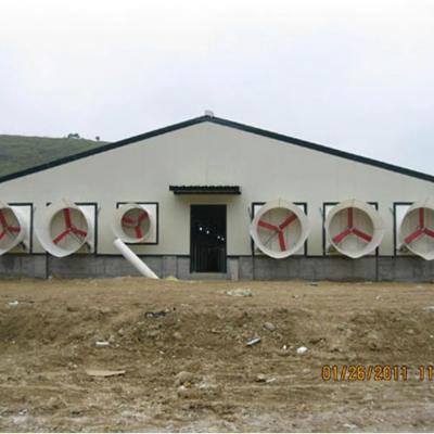 China Durable Steel Structure Chicken House for Small Farms for sale