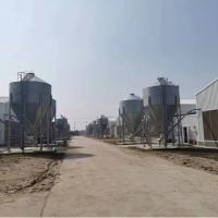China Durable Steel Structure Chicken House for Small Farms for sale