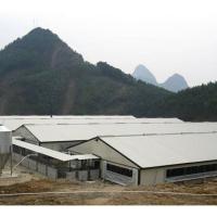 China High-Quality Steel Structure Poultry House for Modern Agriculture for sale