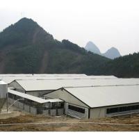 China Building Chicken House Frame Steel Structure Prefabricated Steel Structure for sale
