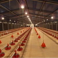 China Building Chicken House Frame Steel Structure Prefabricated Steel Structure for sale