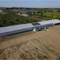 China Prefabricated Steel Structure High-Quality Modular Chicken House Steel Frame Setup for sale