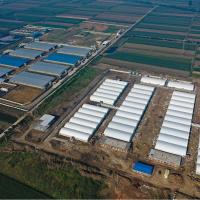 China Prefabricated Steel Structure High-Quality Modular Chicken House Steel Frame Setup for sale