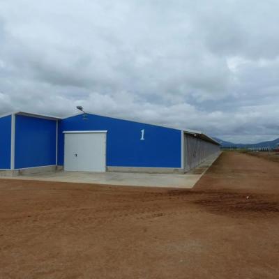China Premium Insulated Chicken Coop with Durable Sandwich Panel Design for sale