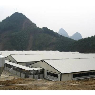 China Eco-Friendly Durable Steel Solutions for Sustainable Chicken Farming for sale