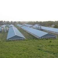 China Durable Chicken Coop Ideal for Organic Agricultural Methods for sale