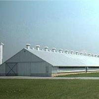China Hot Sell Steel Structure Chicken House Prefabricated Steel Structure for sale